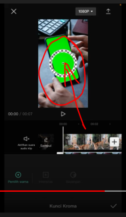 CapCut Green Screen Tutorial - Tongbos