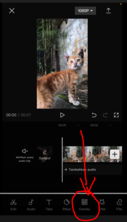 CapCut Green Screen Tutorial - Tongbos