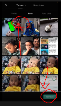 CapCut Green Screen Tutorial - Tongbos