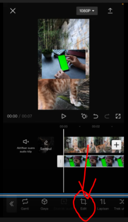 CapCut Green Screen Tutorial - Tongbos
