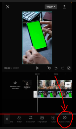 CapCut Green Screen Tutorial - Tongbos