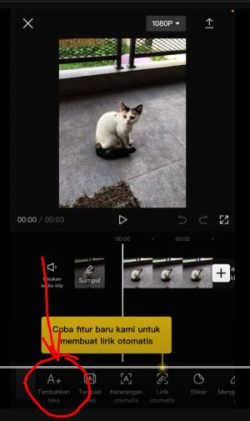 Cara Membuat Tulisan Berwarna Di CapCut - Tongbos